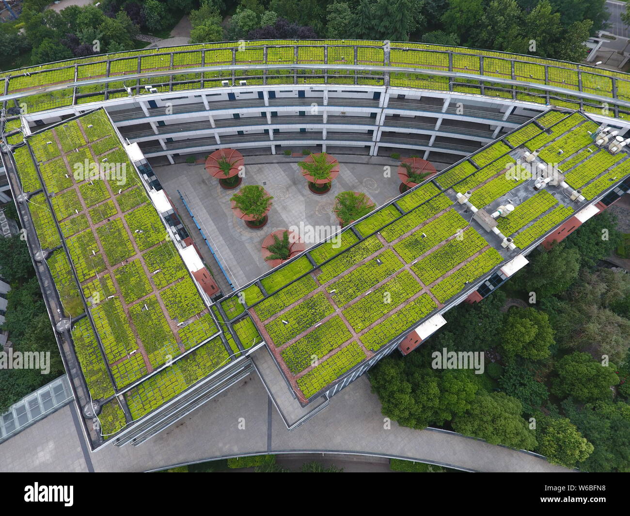An aerial view of rooftop greening on buildings in Zhengdong New Area ...