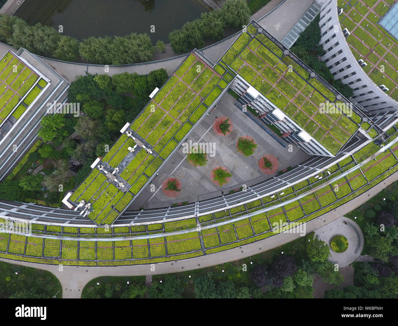 An aerial view of rooftop greening on buildings in Zhengdong New Area ...