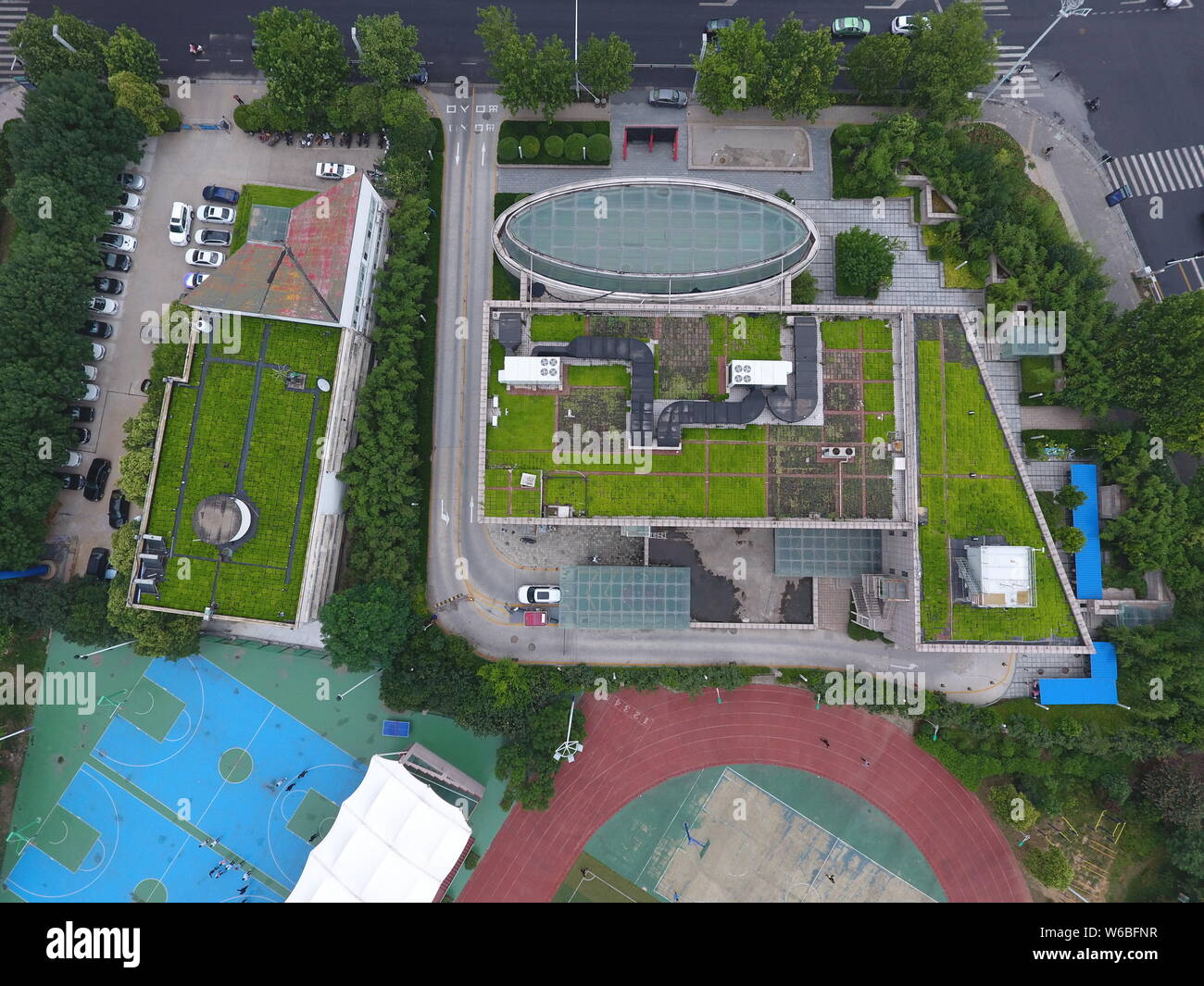 An aerial view of rooftop greening on buildings in Zhengdong New Area ...