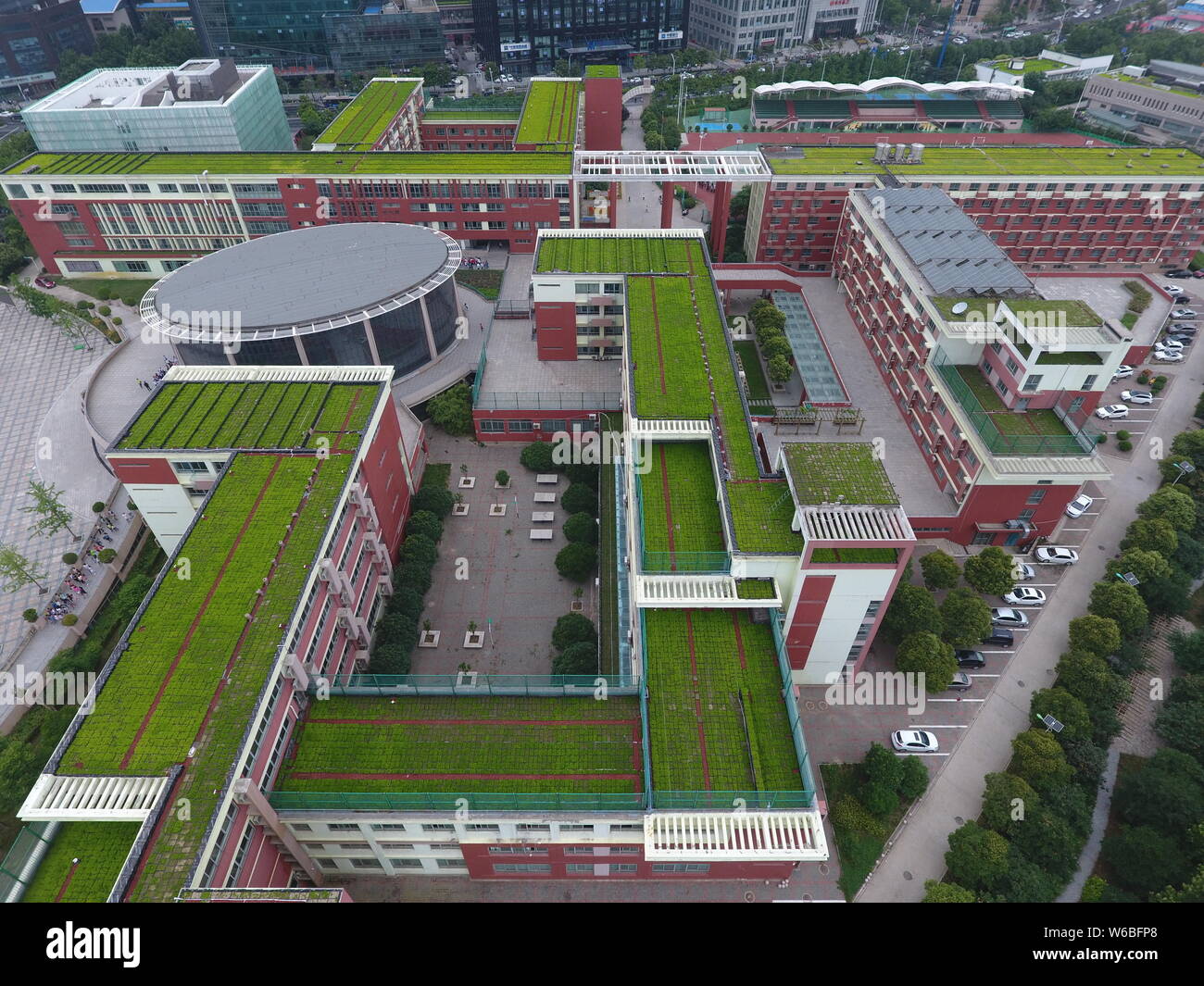 An aerial view of rooftop greening on buildings in Zhengdong New Area ...