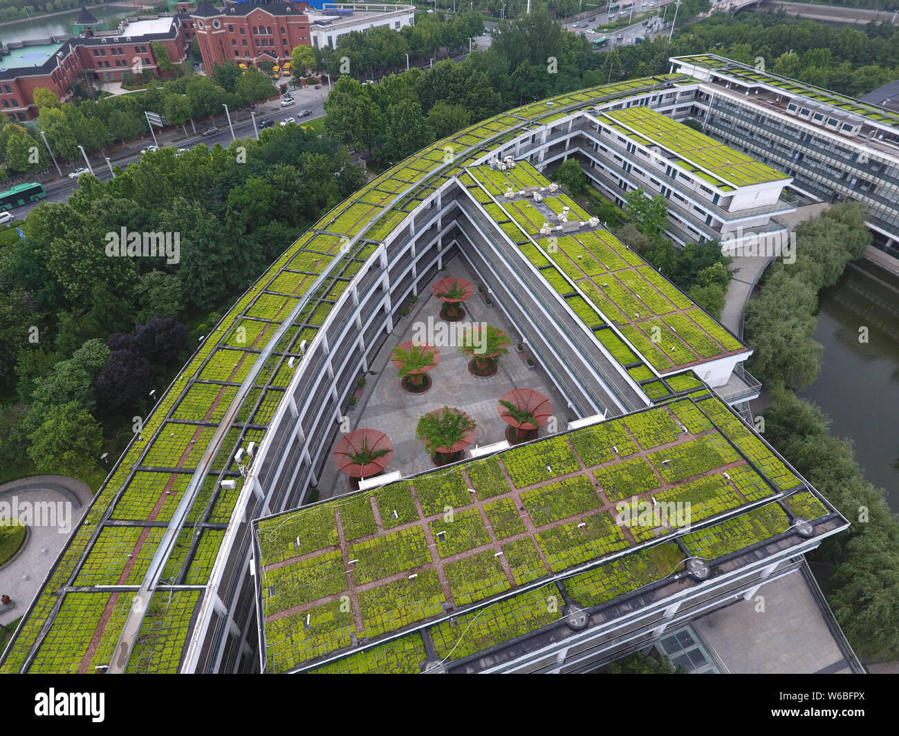 An aerial view of rooftop greening on buildings in Zhengdong New Area ...