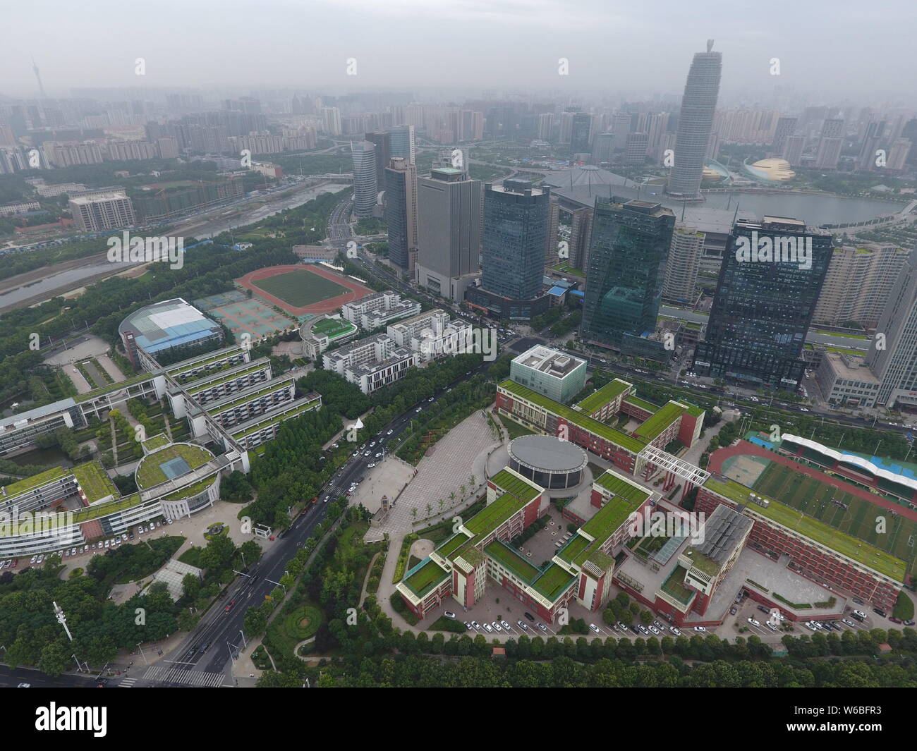 An aerial view of rooftop greening on buildings in Zhengdong New Area ...