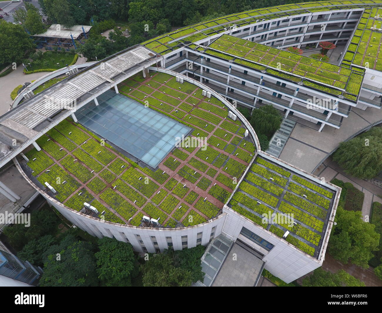 An aerial view of rooftop greening on buildings in Zhengdong New Area ...