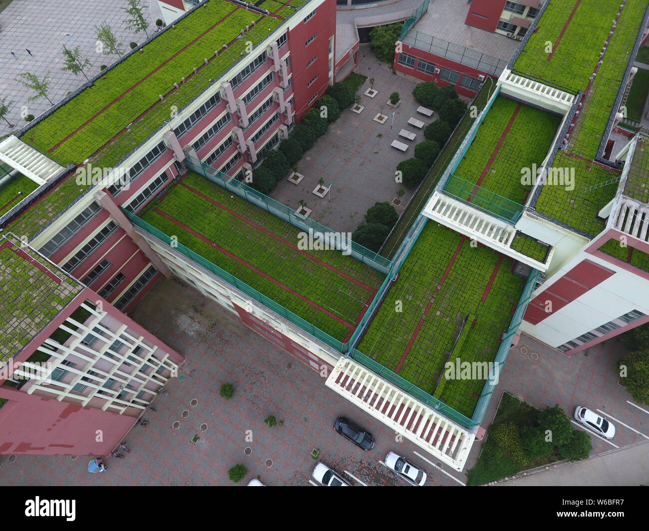 An aerial view of rooftop greening on buildings in Zhengdong New Area ...