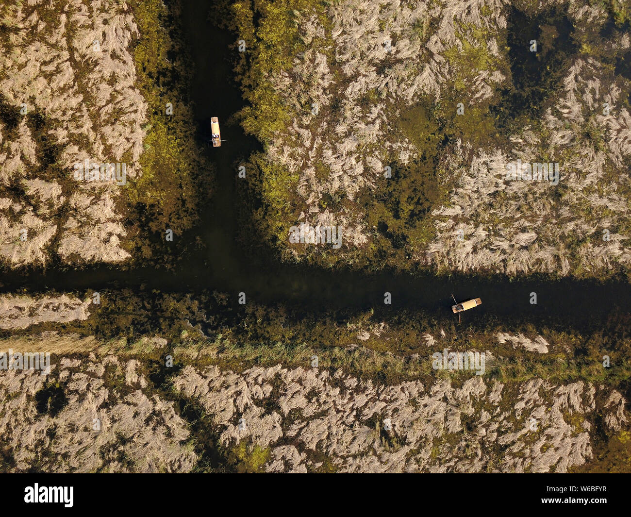 Aerial view of the Baiyangdian Lake, north China's largest freshwater ...