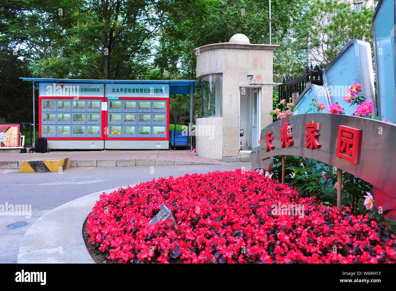 A smart vegetable and fruit vending machine is installed at a ...