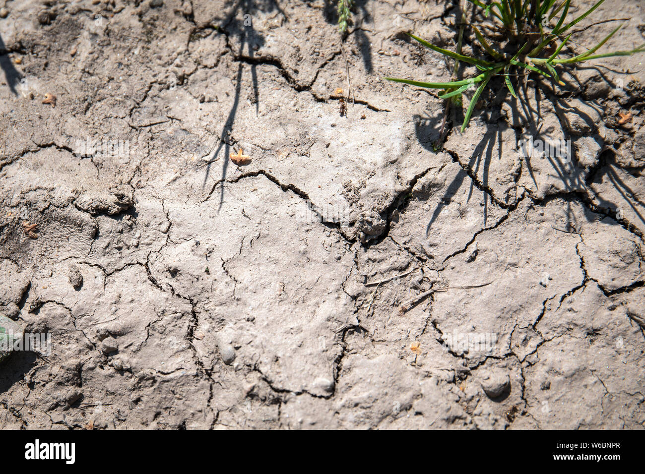 Close up of dry cracked ground Stock Photo - Alamy