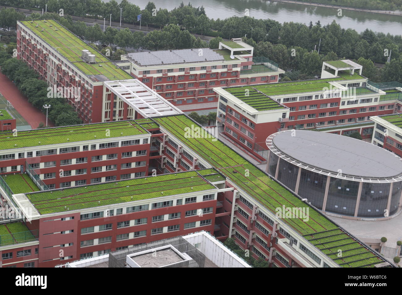 An aerial view of rooftop greening on buildings in Zhengdong New Area ...