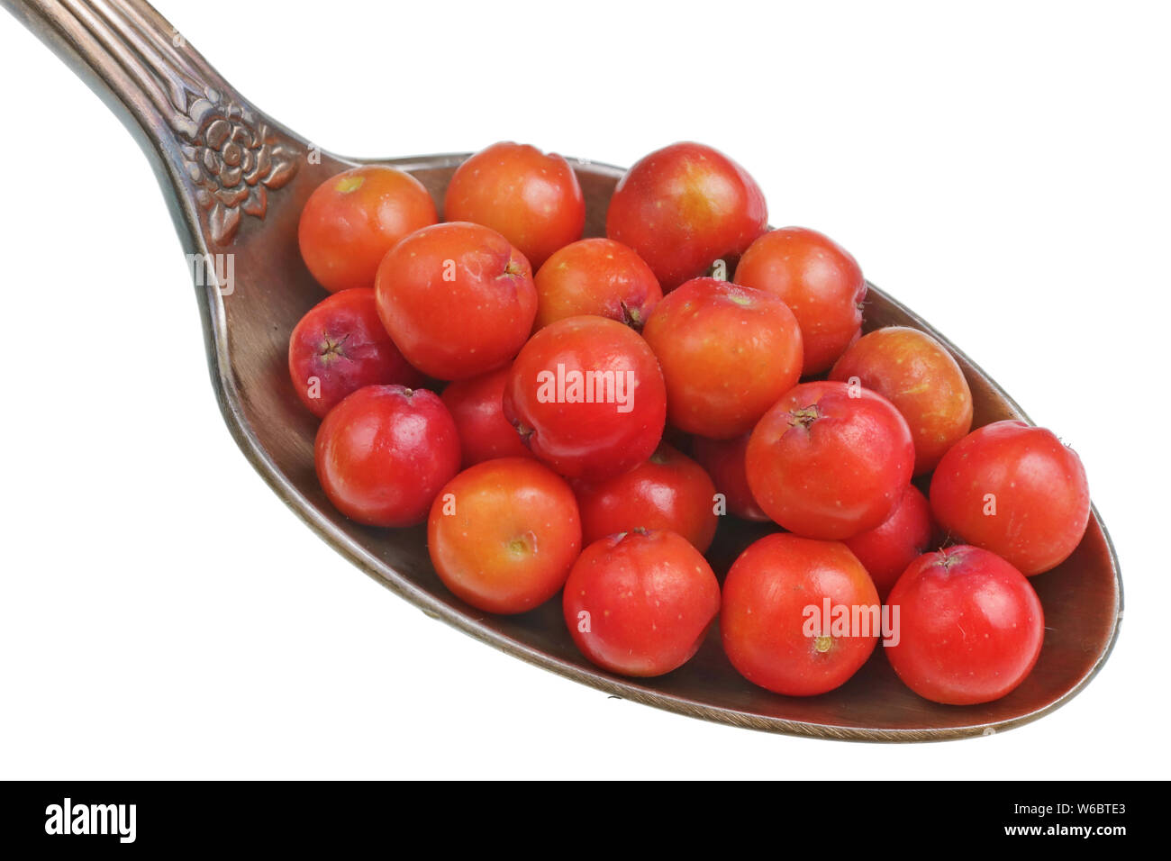 Rowan berry extract hi-res stock photography and images - Alamy
