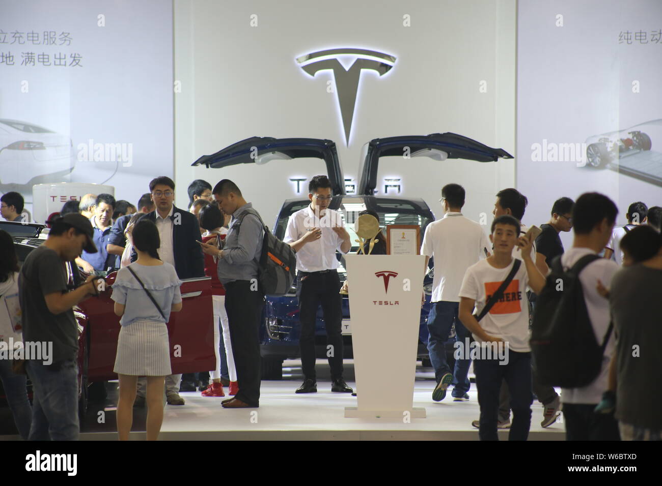 --FILE--People visit the stand of Tesla during the 14th China ...