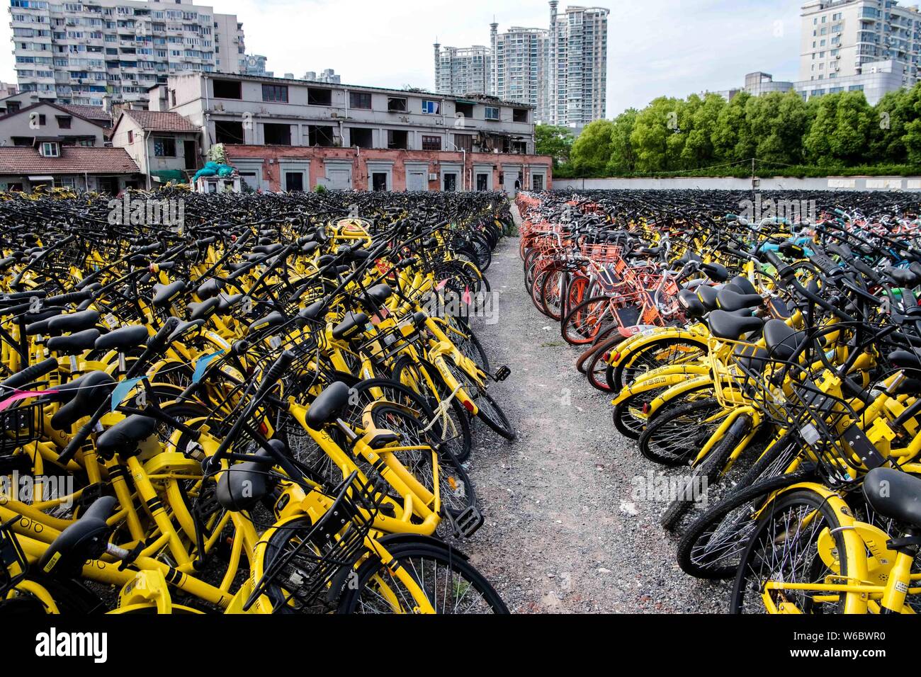 Shanghai bike sharing bund hi-res stock photography and images - Alamy Shanghai bike sharing bund hi-res stock photography and images - Alamy