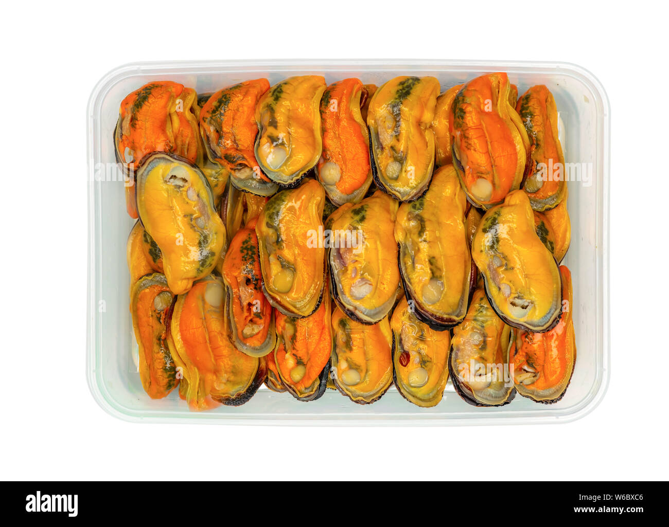 Steamed mussels in plastic box for delivery. Cooked mussel meat without ...