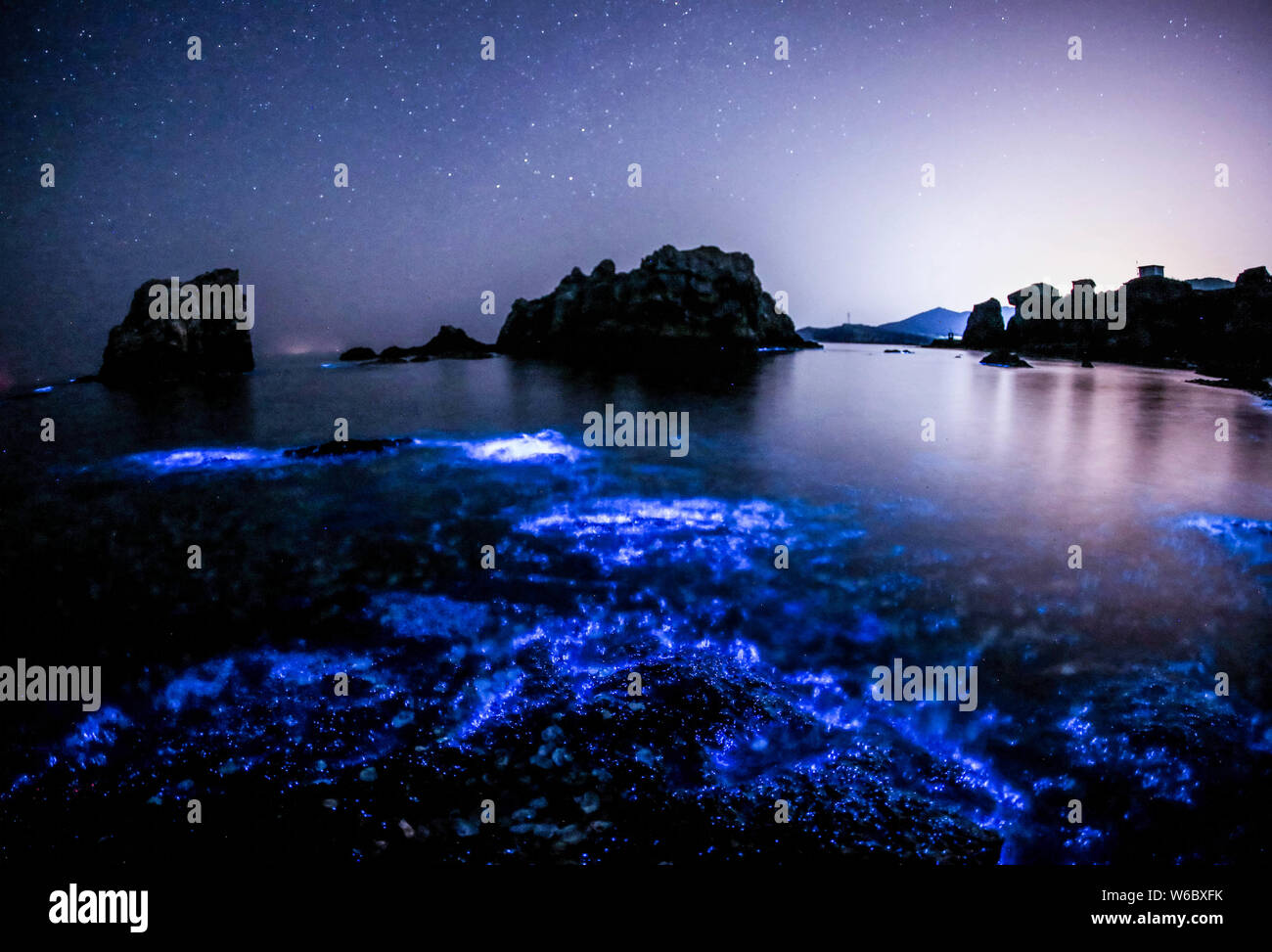 Algal bloom china sea hi-res stock photography and images - Alamy