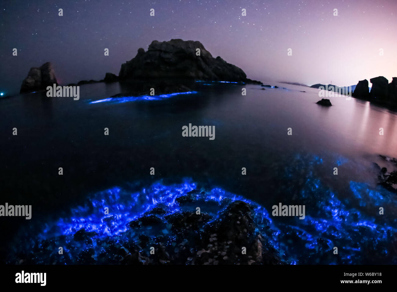 Algal bloom china sea hi-res stock photography and images - Alamy