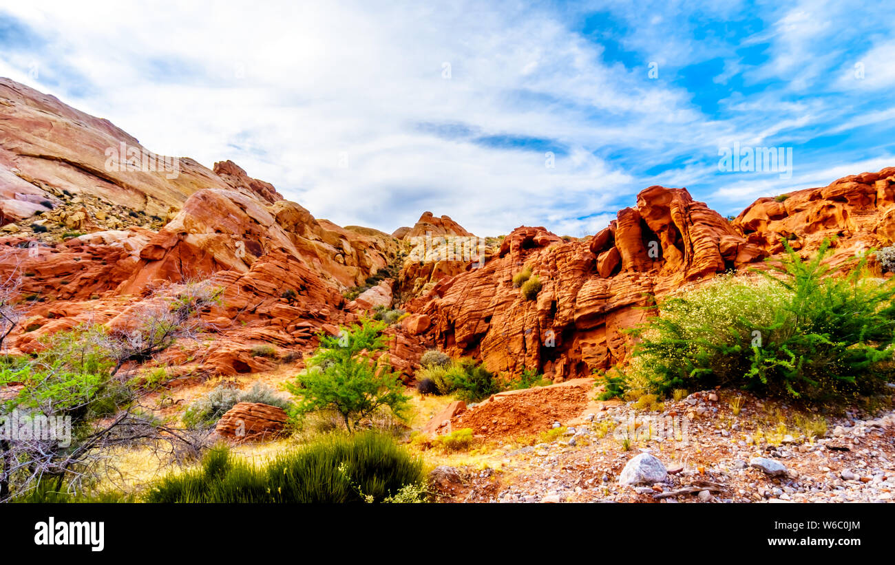 The colorful red, yellow and white sandstone rock formations along the ...