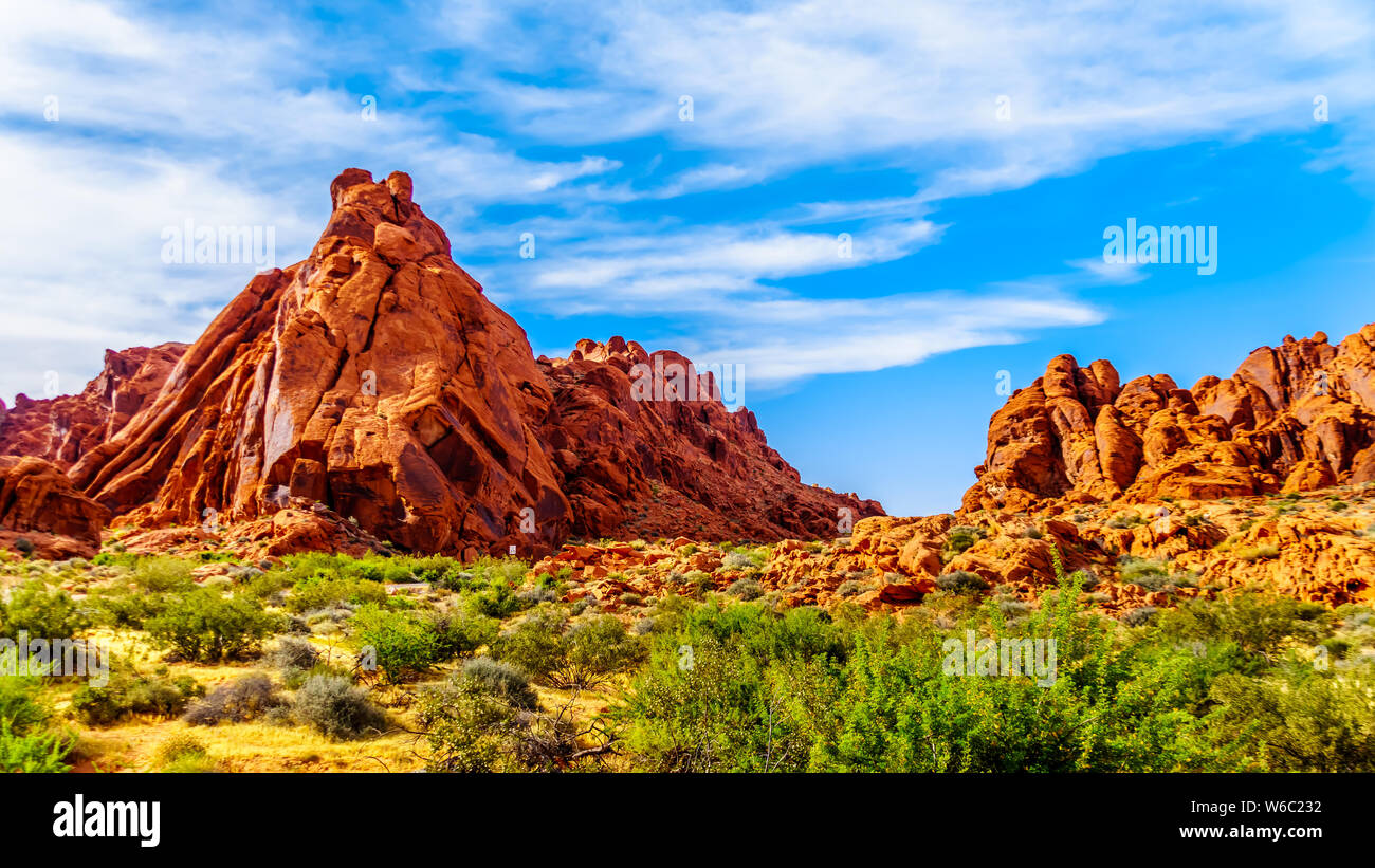 Red Aztec Sandstone Mountains under Blue Sky at the Mouse's Tank Trail ...