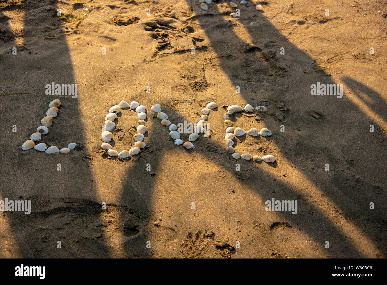 Lisa Written In The Sand