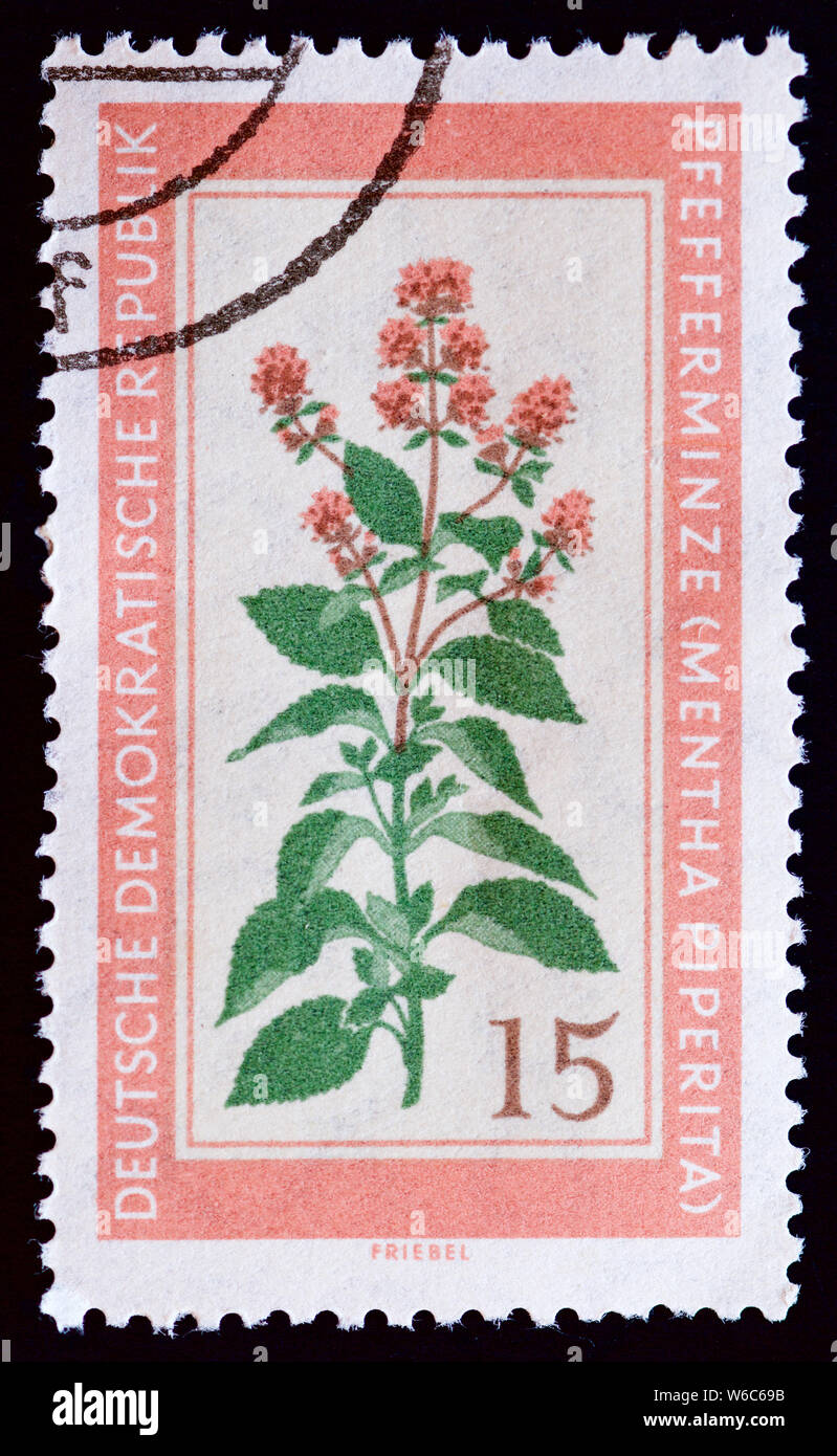 East Germany postage stamp - Peppermint Stock Photo - Alamy