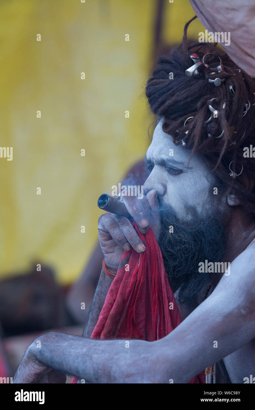 Portrait of a Naga Sadhu enjoying smoke during Kumbh Mela,Nasik ...