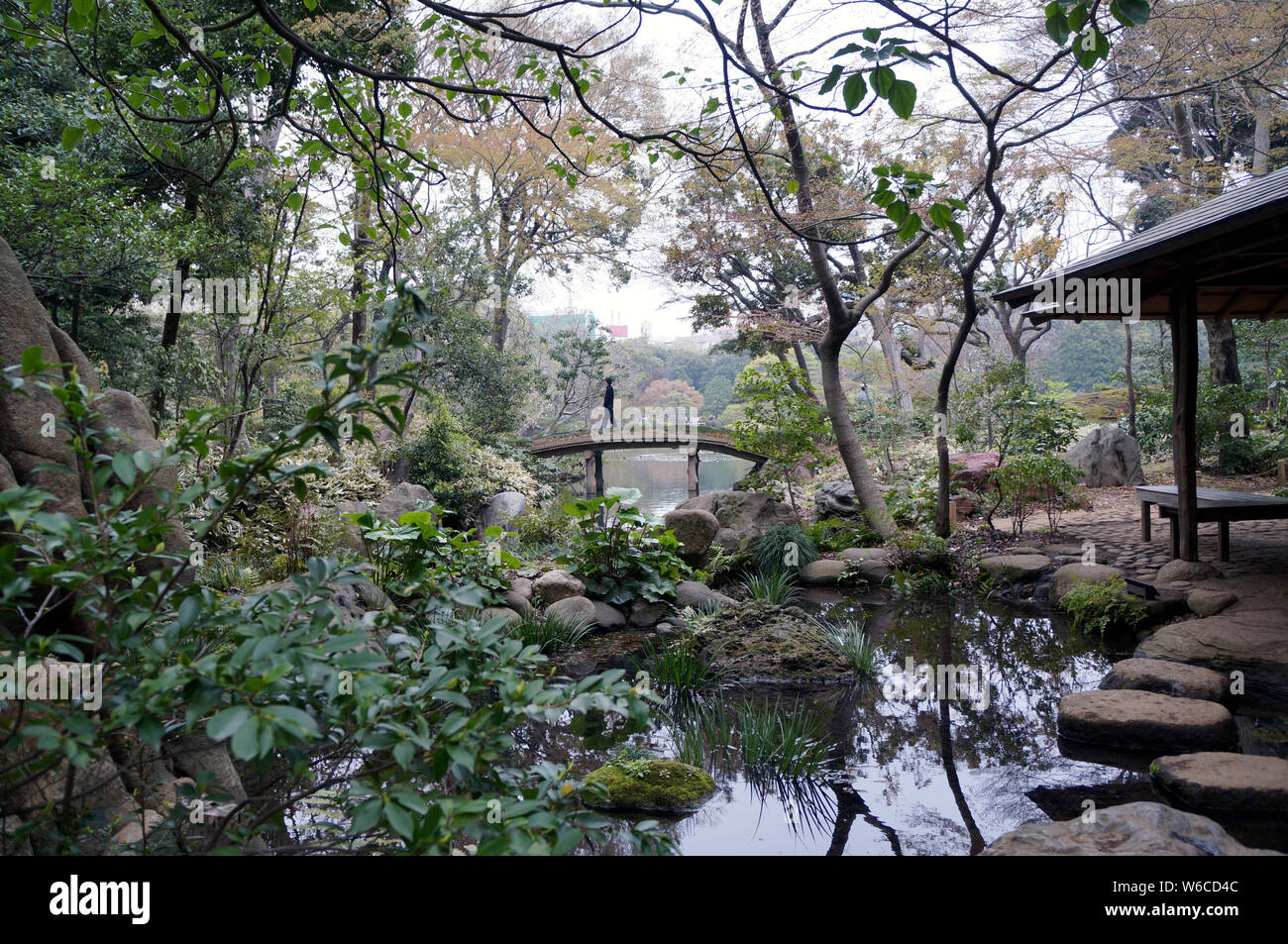 Rikugi-en traditional Japanese garden, Tokyo, bridge Stock Photo - Alamy