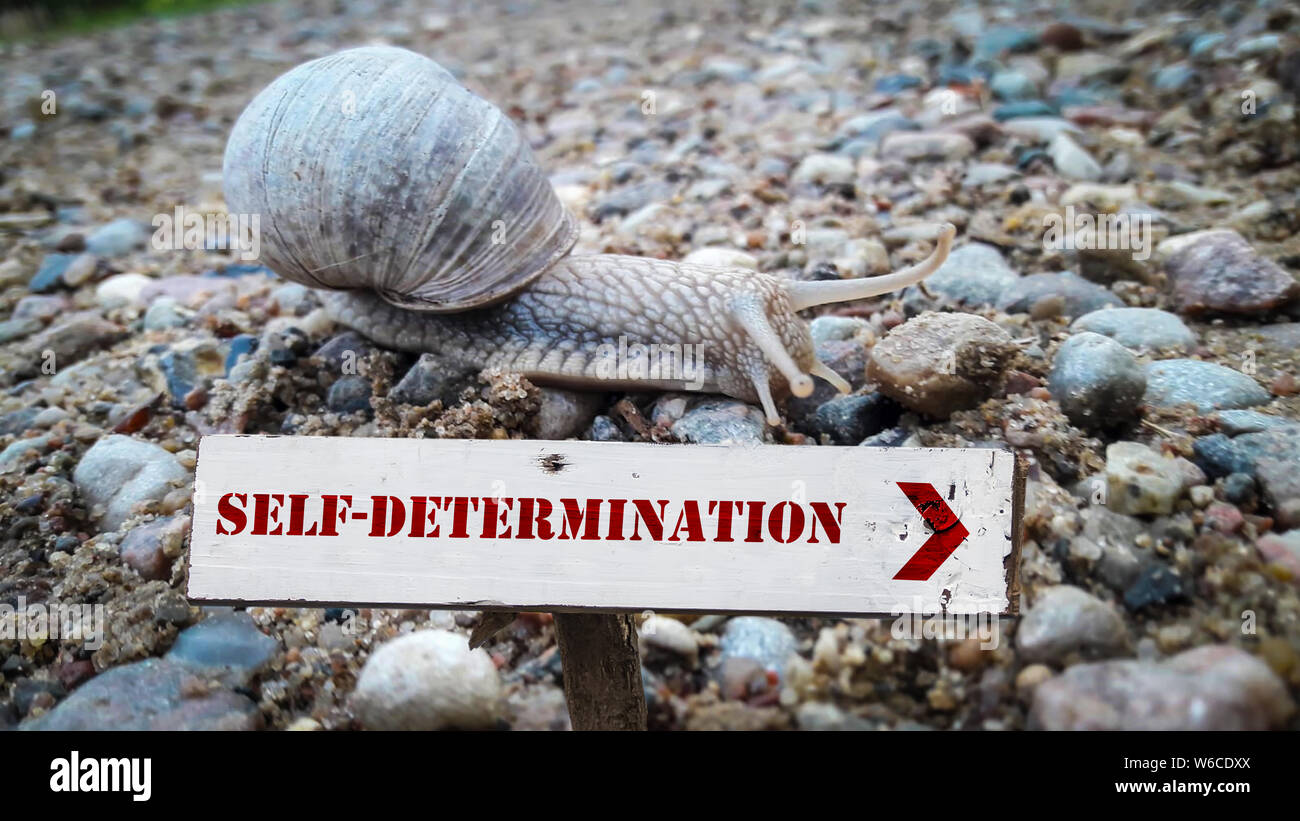 Street Sign the Direction Way to SELF-DETERMINATION Stock Photo - Alamy