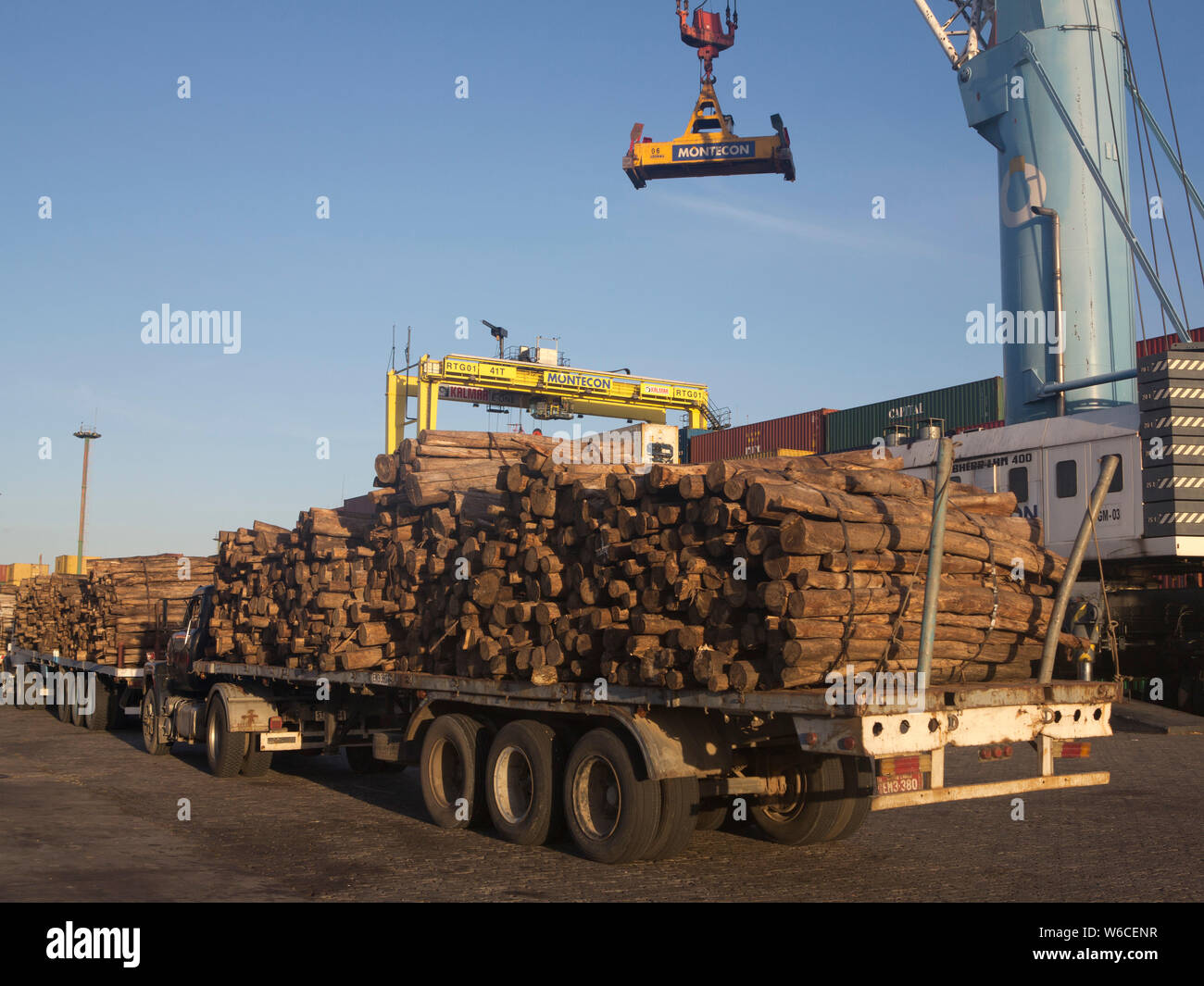 Timber loaded for export at the harbour in Montevideo, Uruguay Stock ...