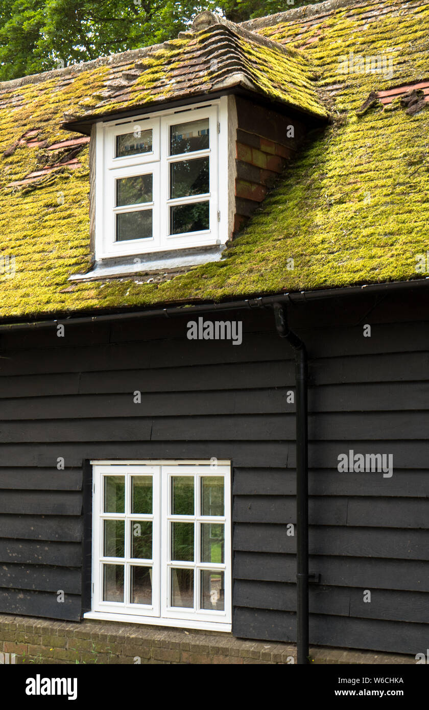 Moss covered roof hi-res stock photography and images - Alamy