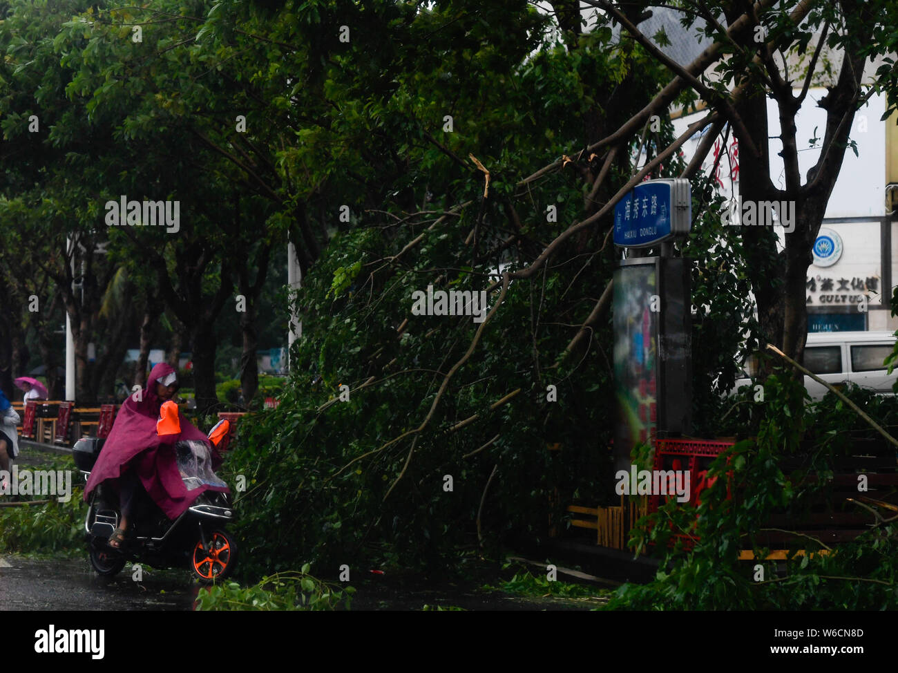 Haikou, China's Hainan Province. 1st Aug, 2019. A tree is blown down by ...