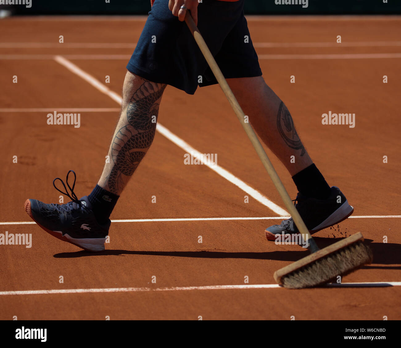 French broom hi-res stock photography and images - Alamy