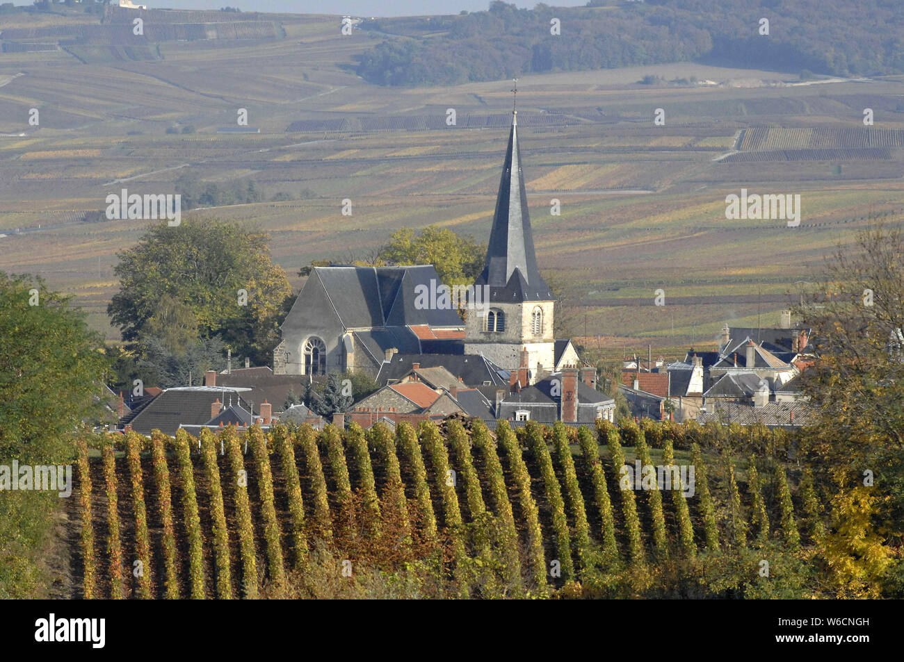 Rilly-la-Montagne (north-eastern France). Overview of the village, the ...