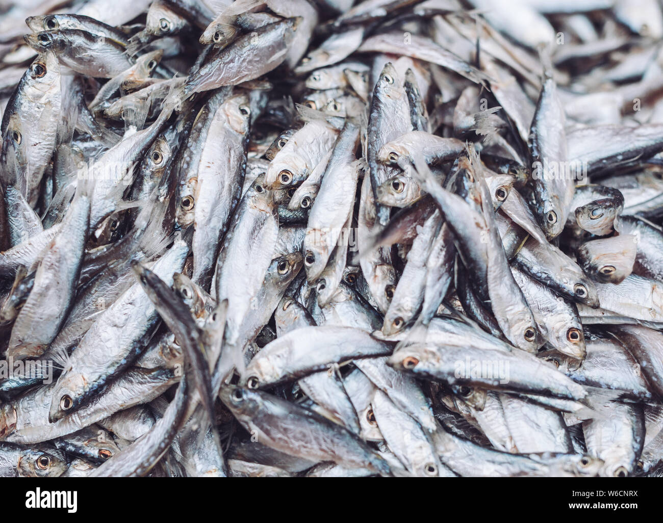 Fish sprats at the fish market. Fresh organic fish Stock Photo - Alamy