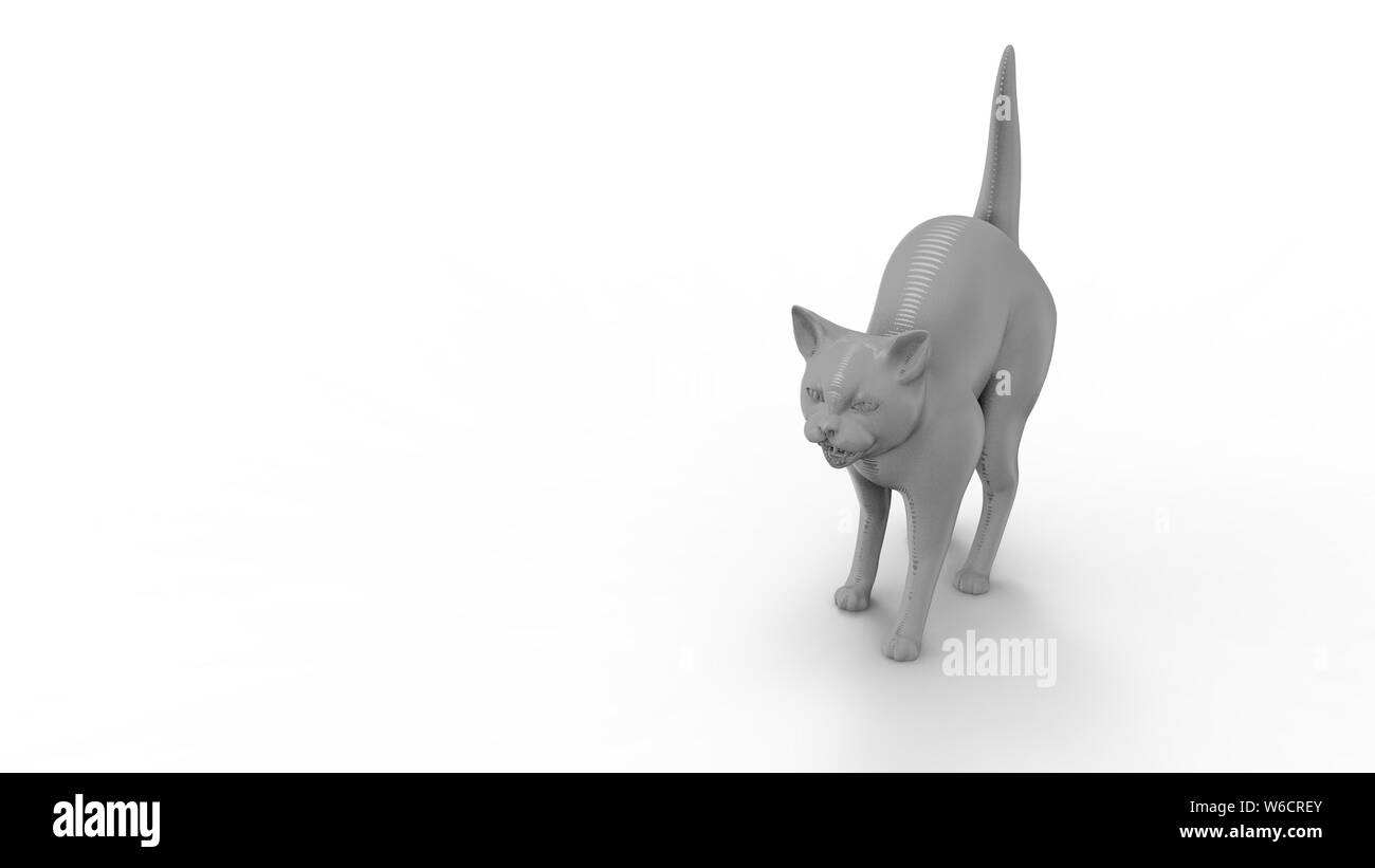 Cat arched back Black and White Stock Photos & Images - Alamy