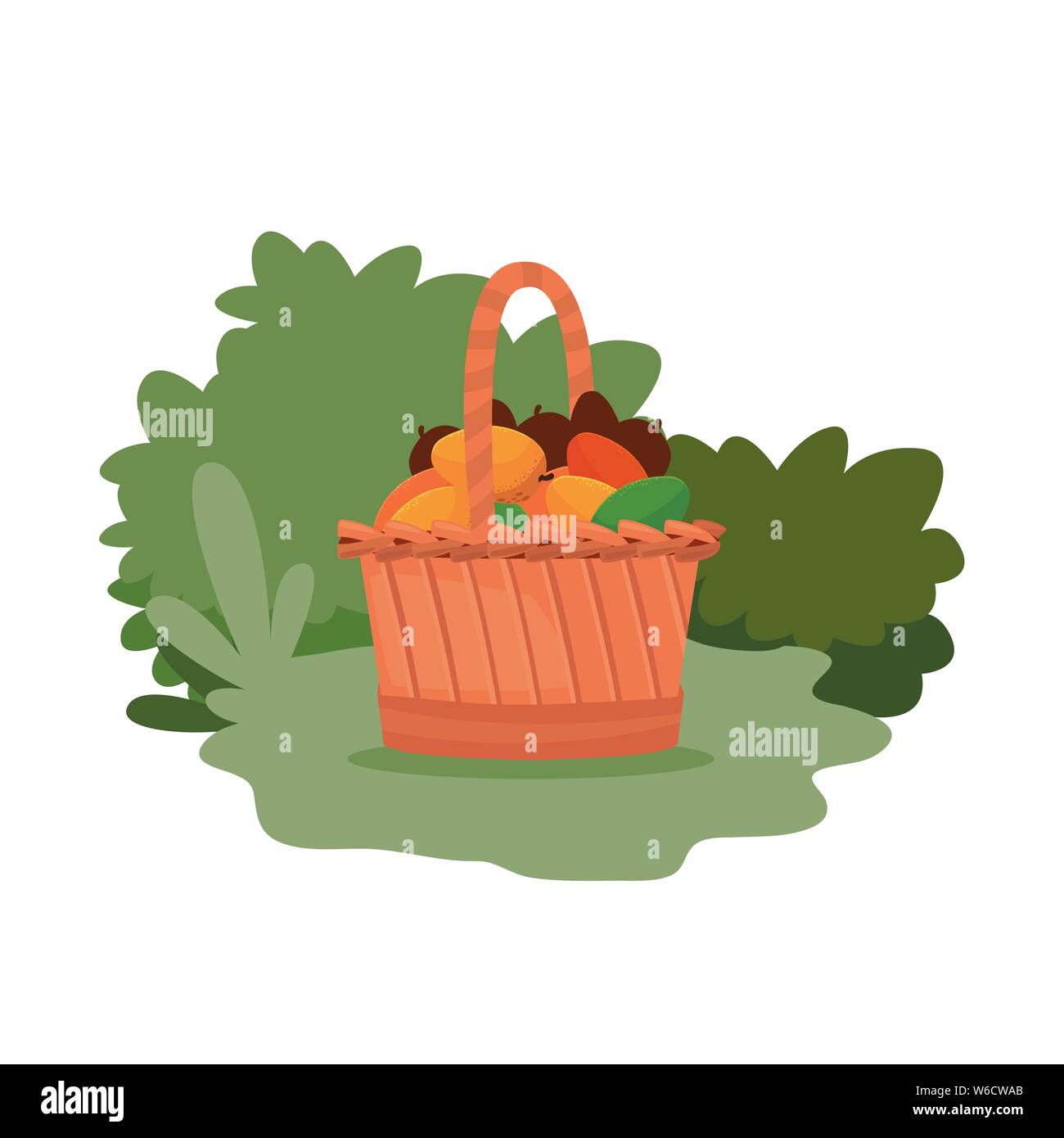 fresh fruits mangoes in wooden basket vector illustration Stock Vector ...