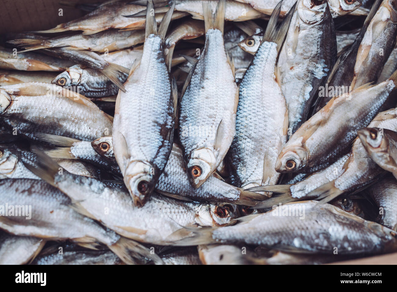 Fresh fish in the store on the background Stock Photo - Alamy