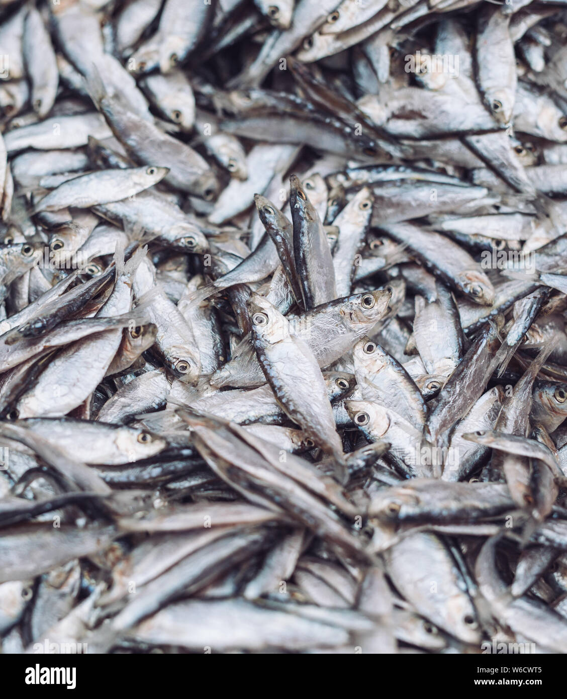 Fish sprats at the fish market. Fresh organic fish Stock Photo - Alamy