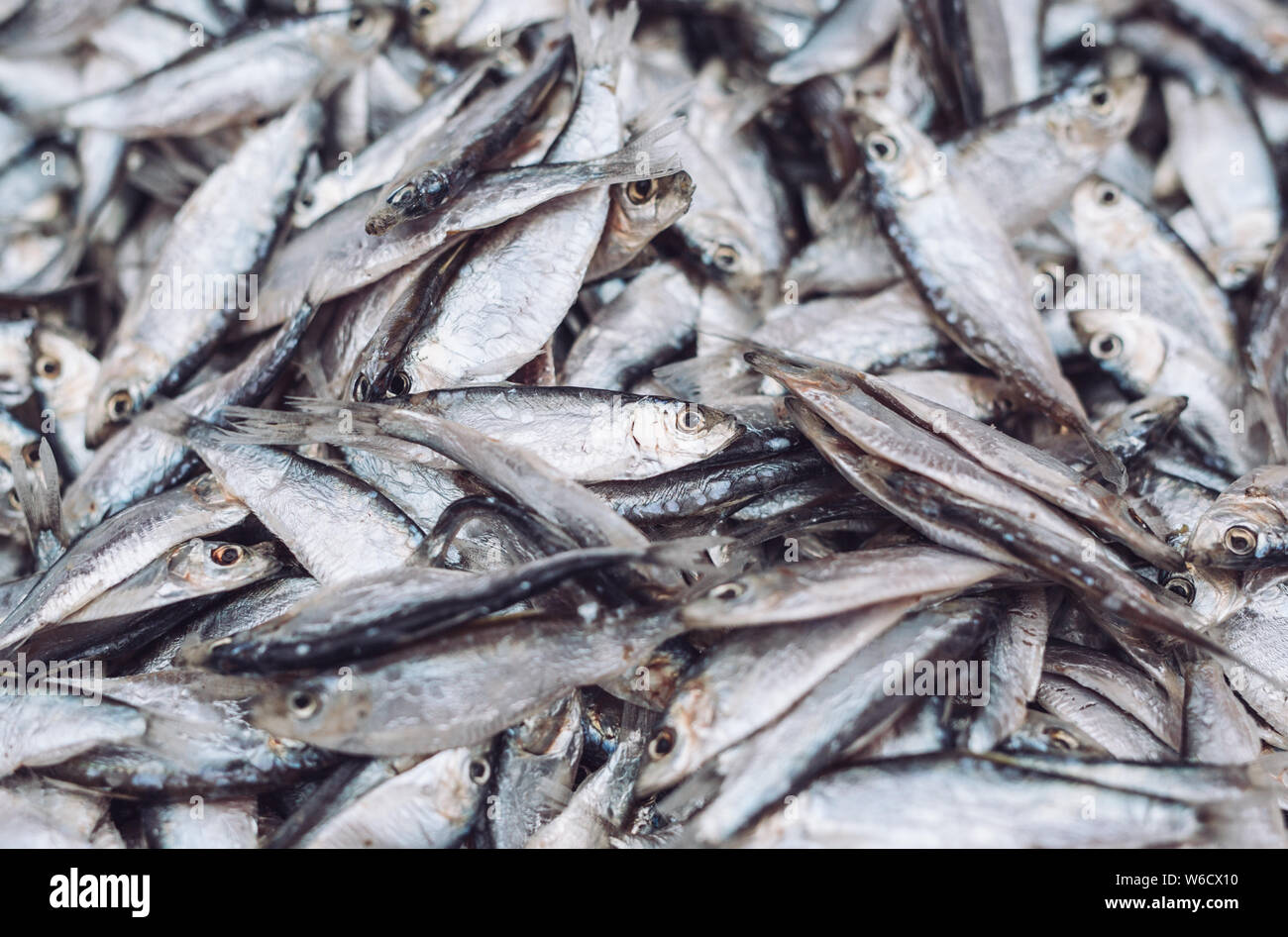 Fish sprats at the fish market. Fresh organic fish Stock Photo - Alamy