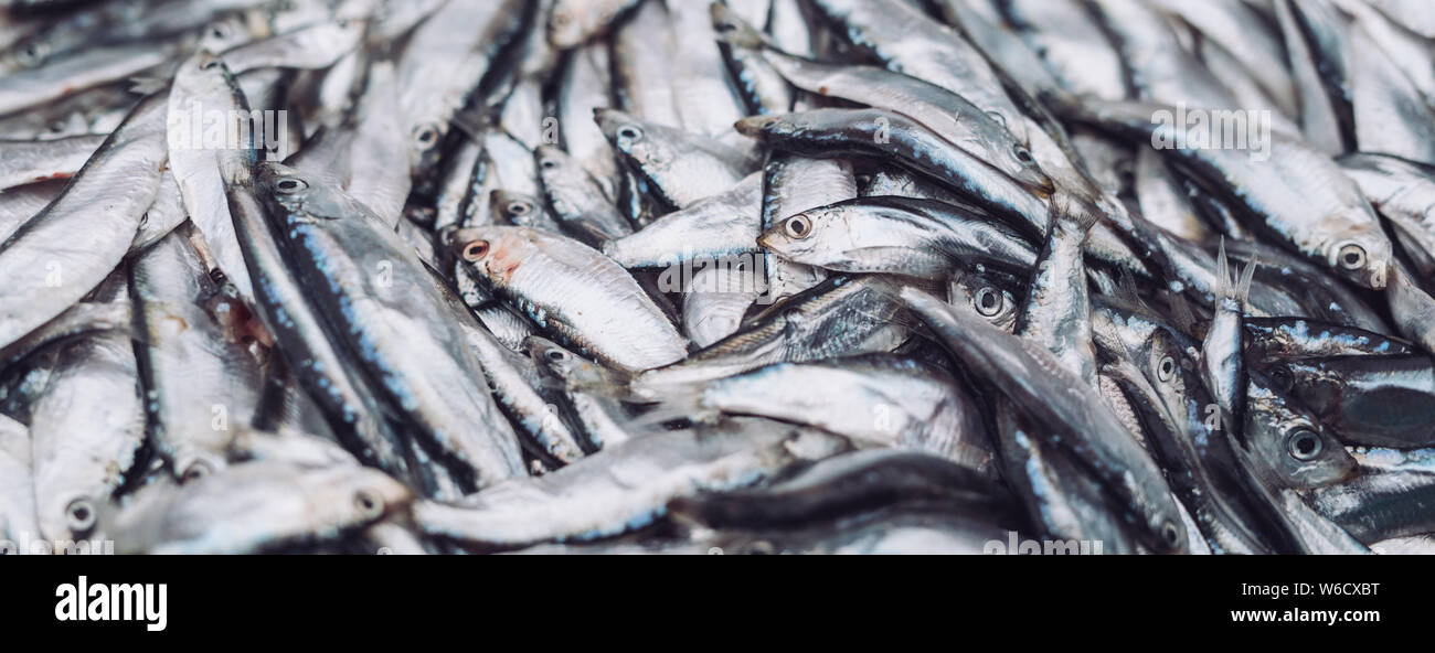 Fish sprats at the fish market. Fresh organic fish Stock Photo - Alamy