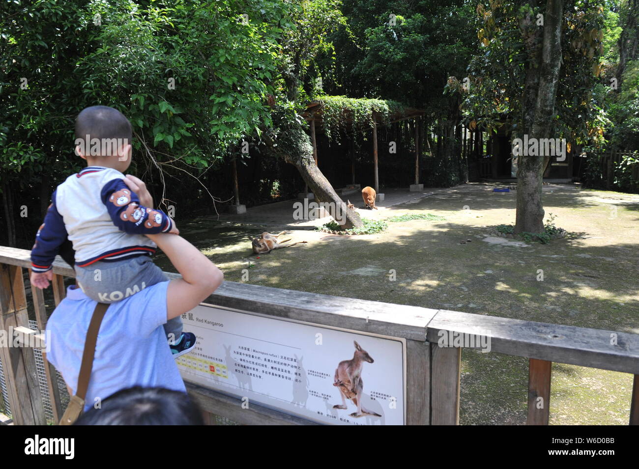 Kangaroo Enclosure High Resolution Stock Photography and Images - Alamy