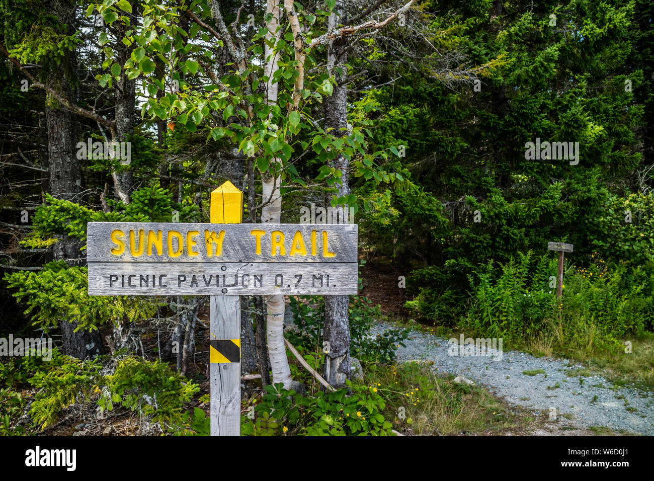 Acadia National Park, ME, USA - August 11, 2018: The Sandew Path Trail ...