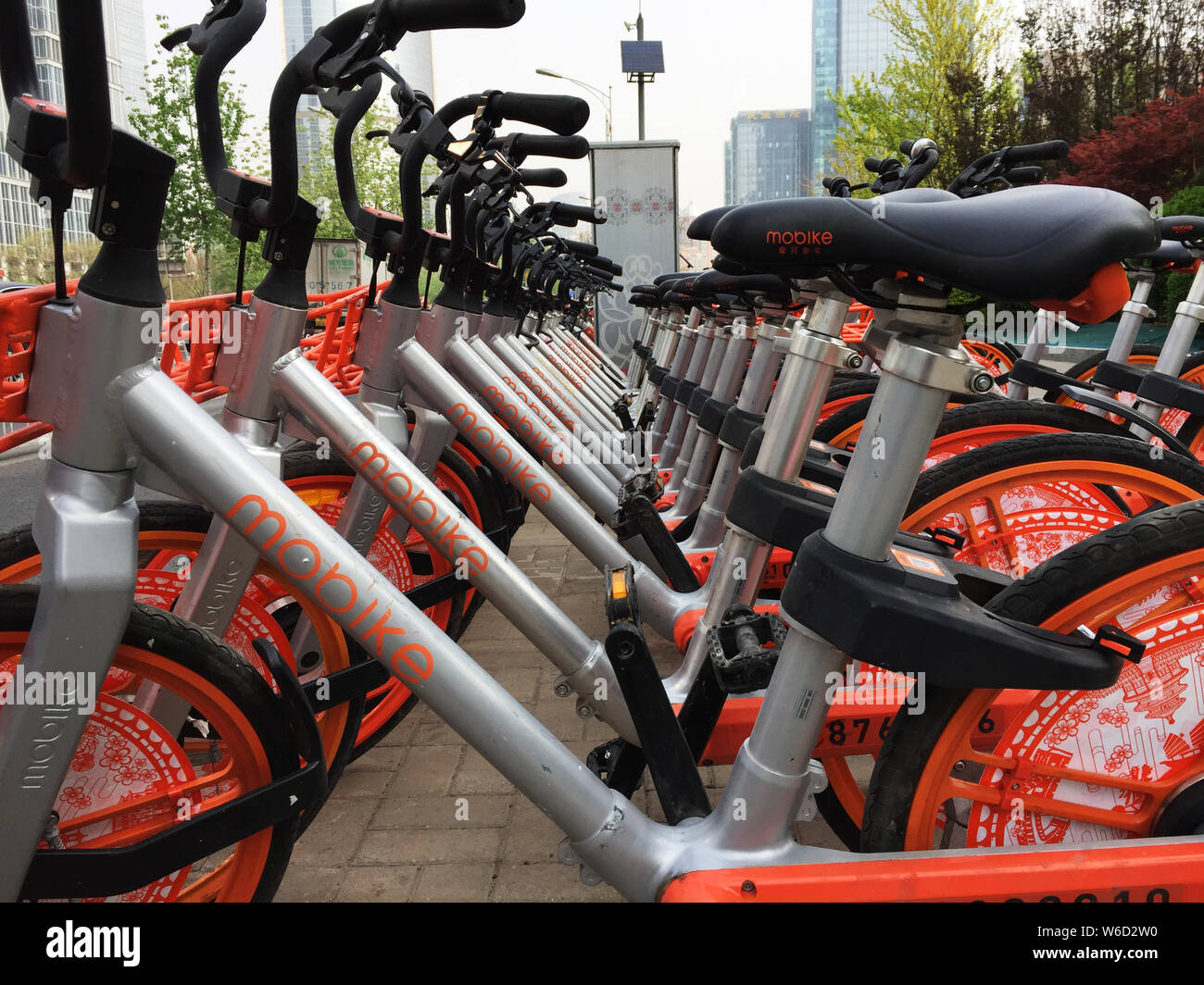 Papercut patterns are seen on China-themed bicycles of Chinese bike ...