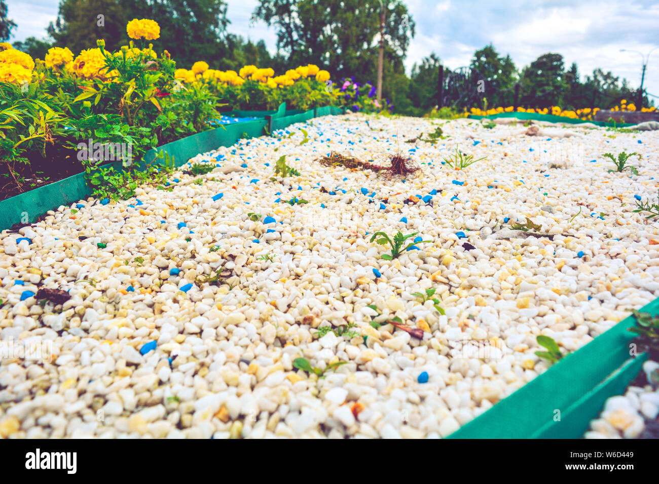 Pebbles gravel with white, yellow, blue small natural stone rubble with ...