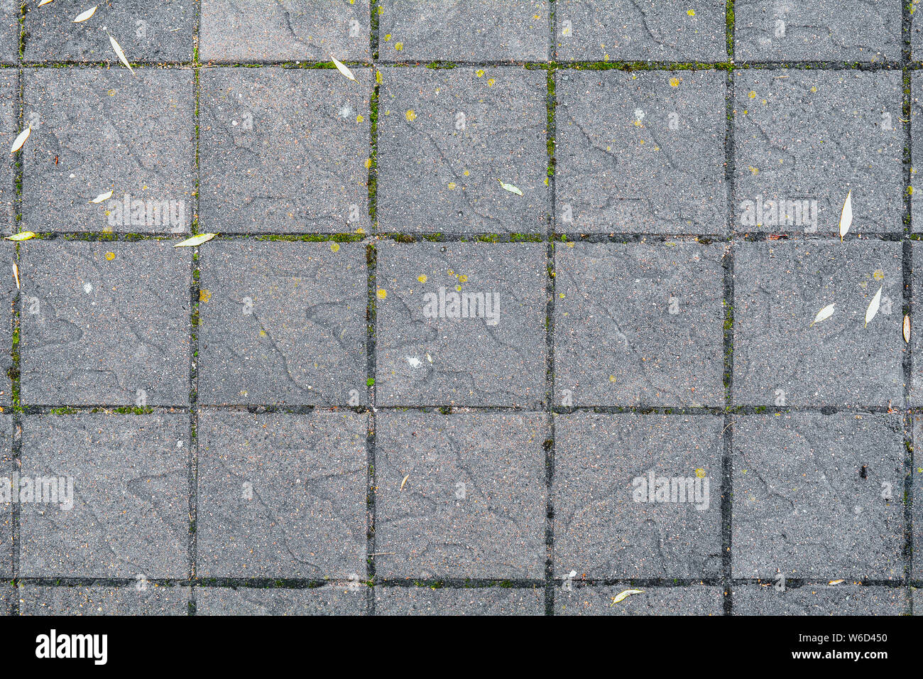 Concrete pavement background on the public pave way. Big square tiles ...