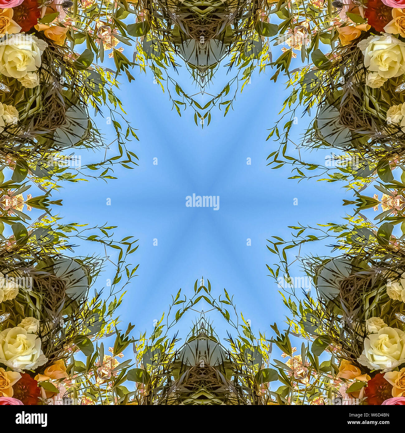 Square frame Floral design with interesting angles and colorful flowers ...
