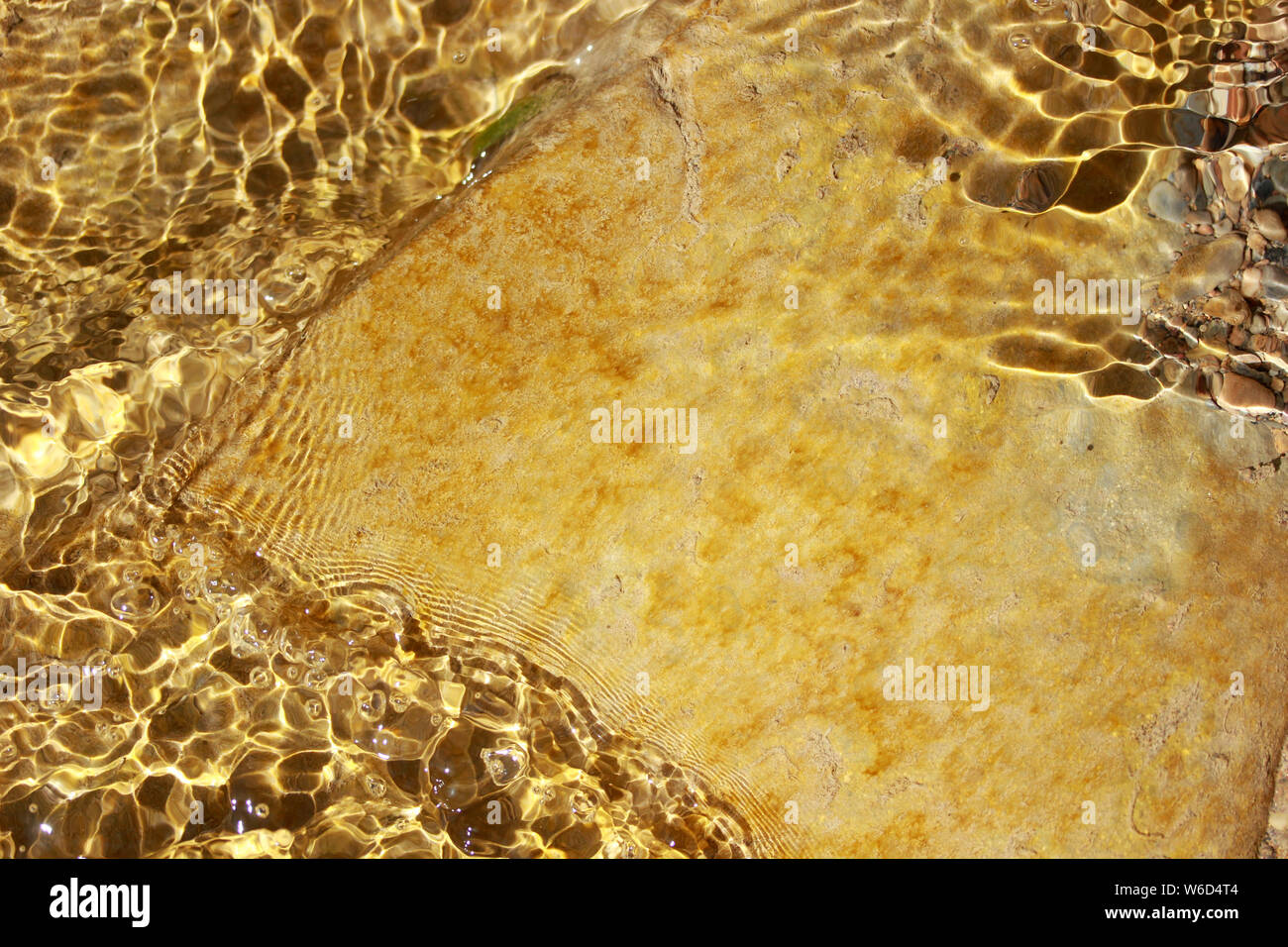 The bottom of a clear stream Stock Photo - Alamy