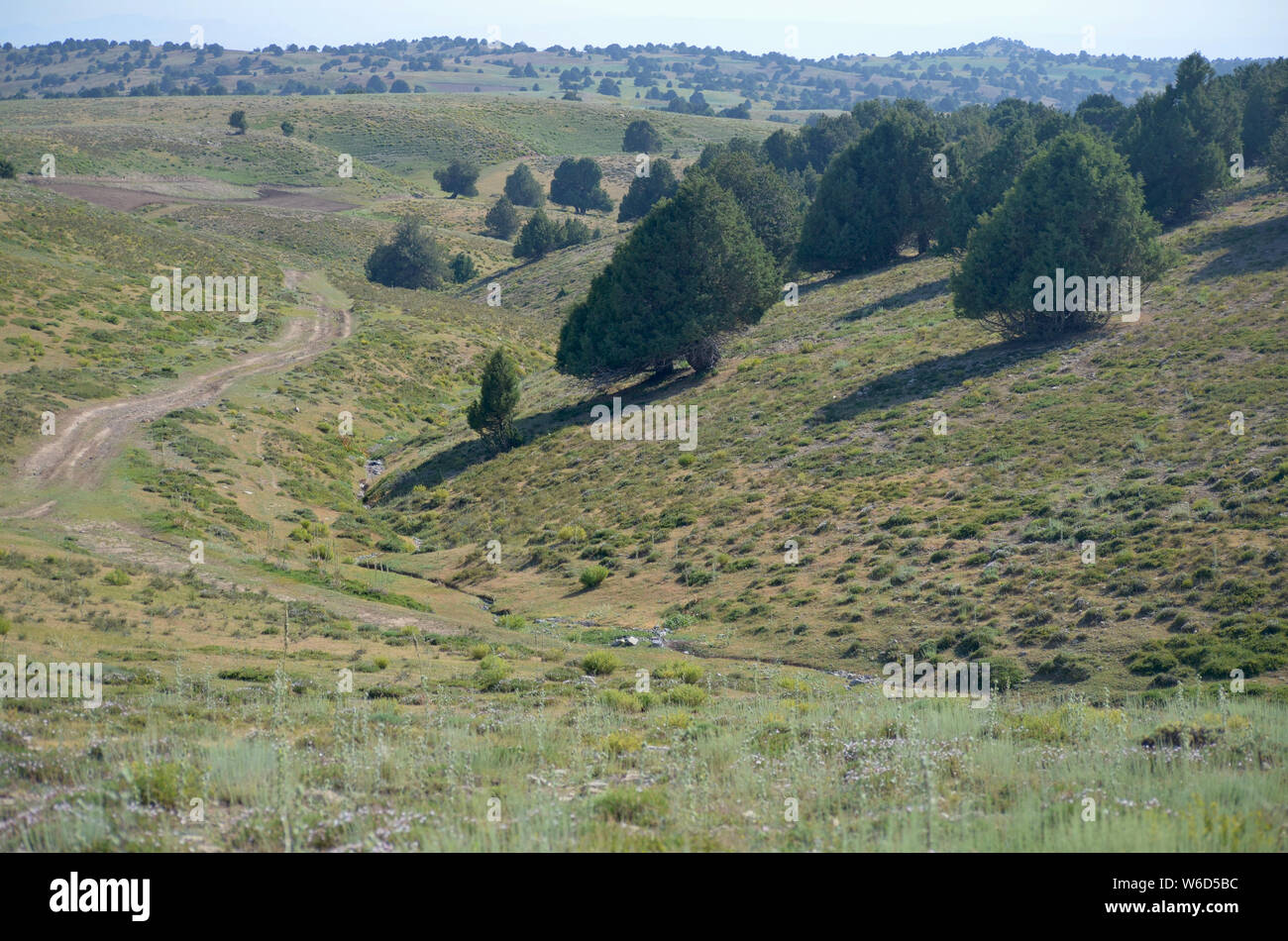 Central plateau conservation area hi-res stock photography and images ...
