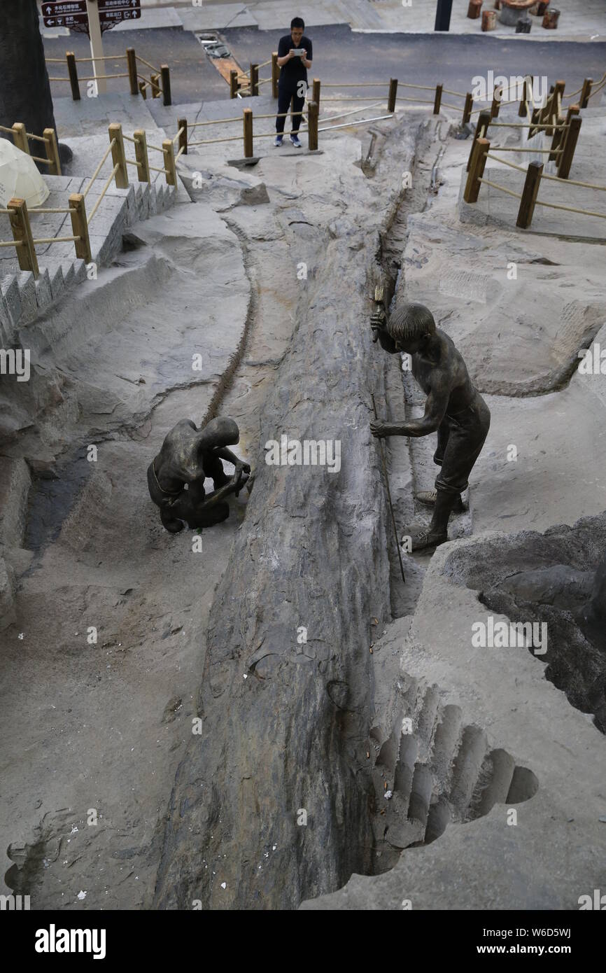 The longest wood fossil with a length of 29.5 meters is seen at the ...