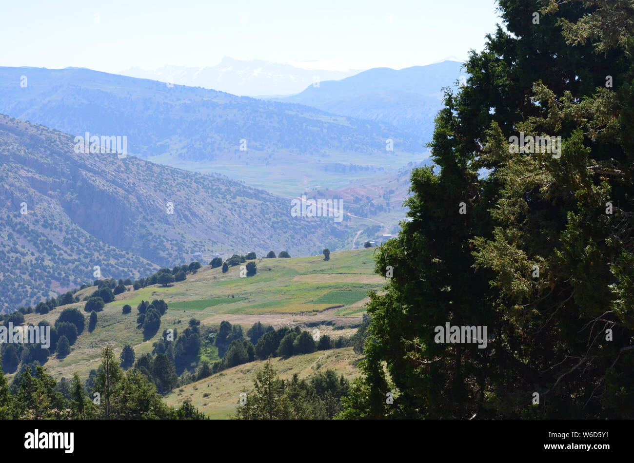 Juniper trees and high plateaus in the Hissar or Gissar mountains ...