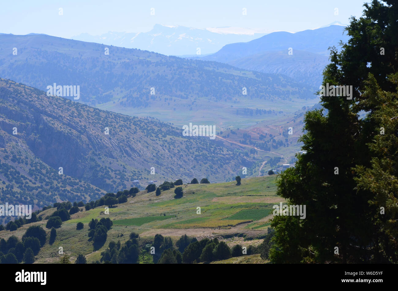 Juniper trees and high plateaus in the Hissar or Gissar mountains ...