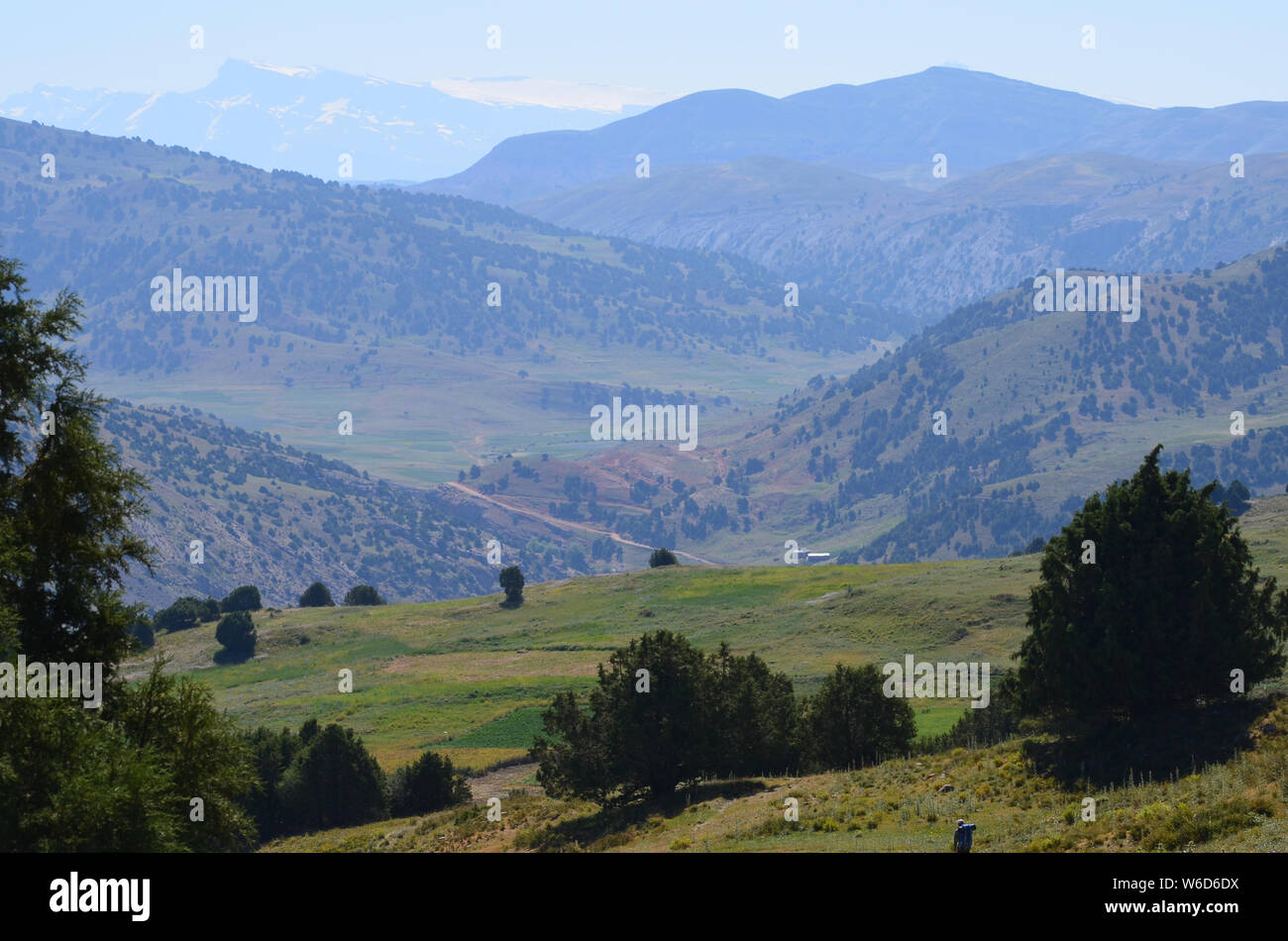 Central plateau conservation area hi-res stock photography and images ...