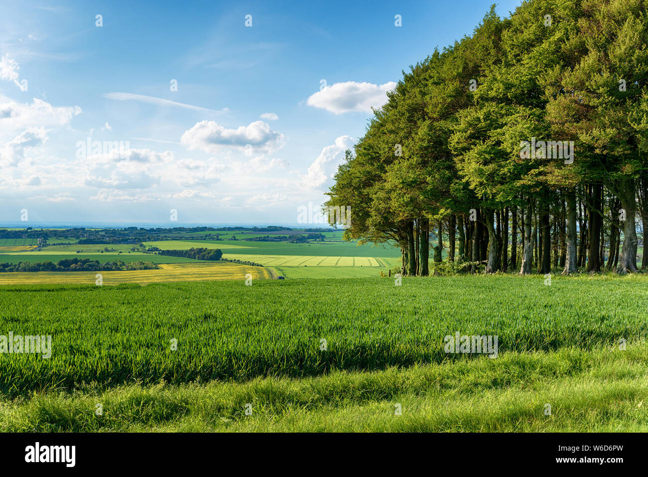 Long distance walking path hi-res stock photography and images - Alamy